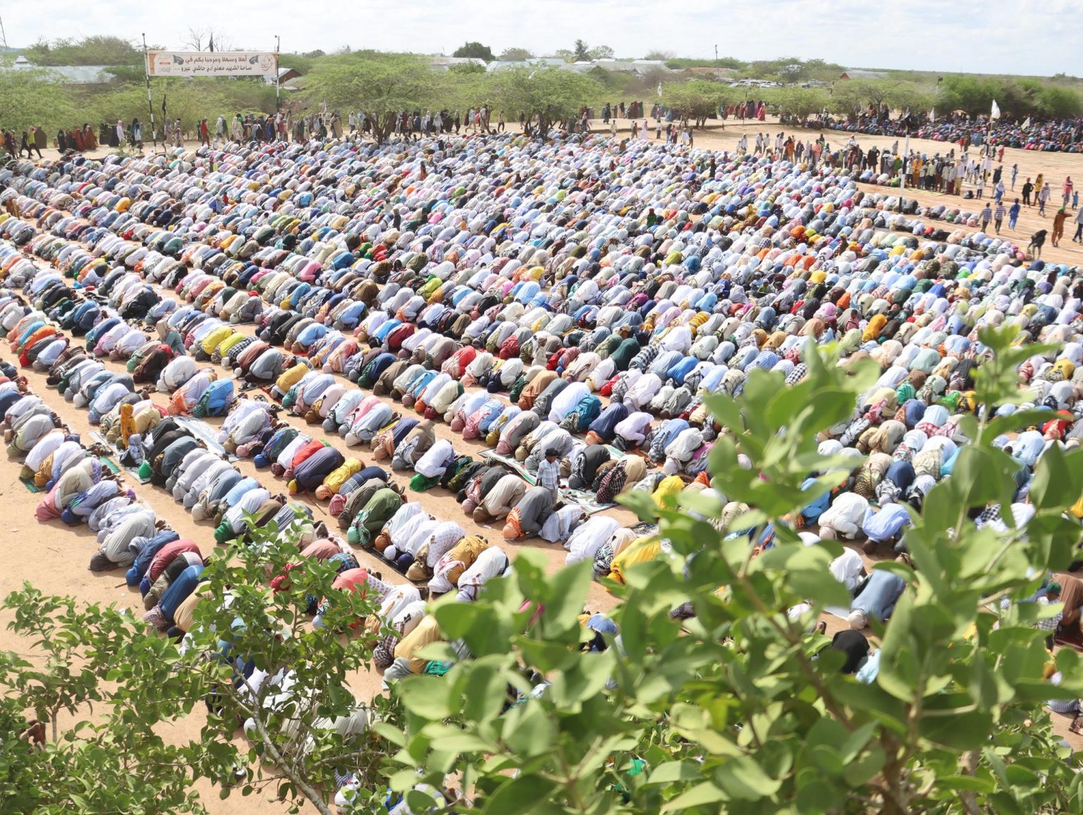 Allposts Sawirro Warar