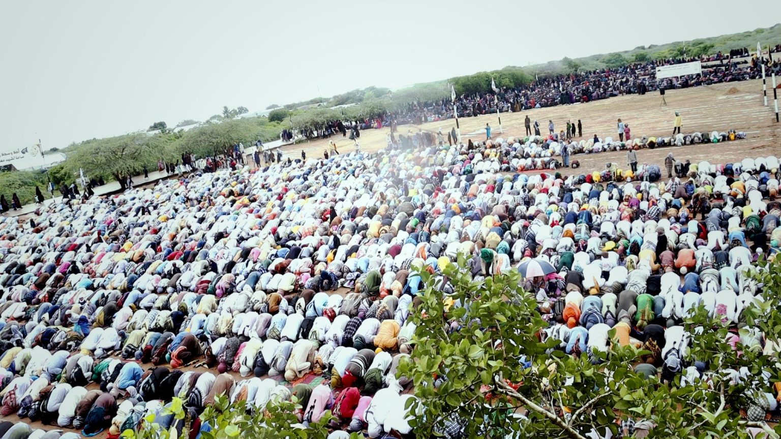 Allposts Sawirro Warar