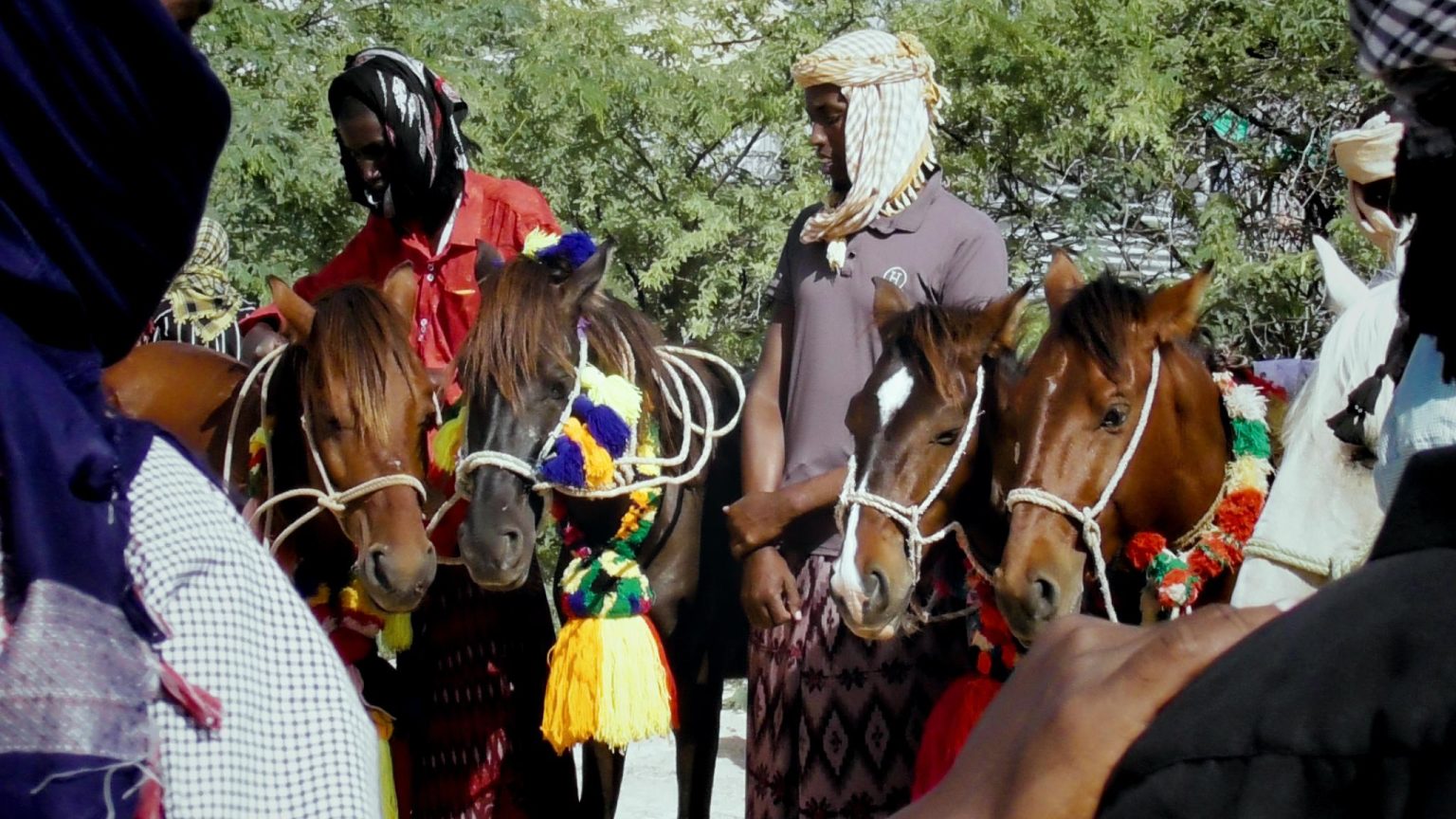 Faahfaahin Laga Helayo Weeraro Askar Looga Dilay Maamulka Shariif Sakiin.